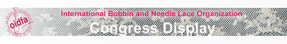 CONGRESS DISPLAY – Just another WordPress site